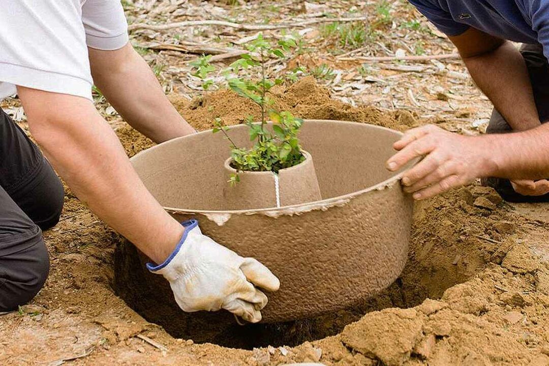 L'invention d'un « Cocoon » pour protéger les cultures et économiser ...