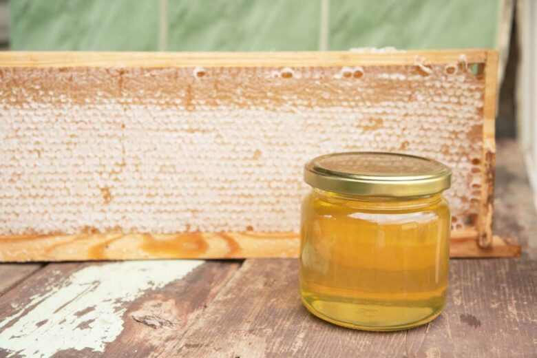 Mais au fait, comment les abeilles fabriquent-elles le miel ? - NeozOne